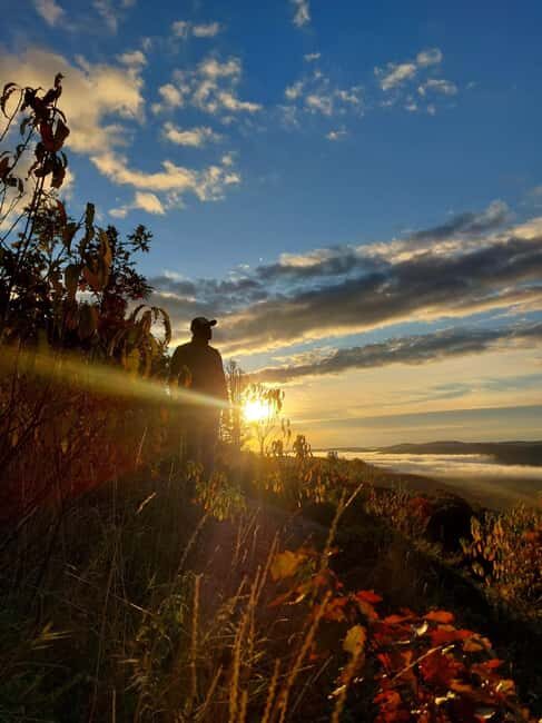 Robertson Cliffs: Where Falcons Fly Guided Hike - An In-Depth Look at Robertson Cliffs: Where Falcons Fly Guided Hike