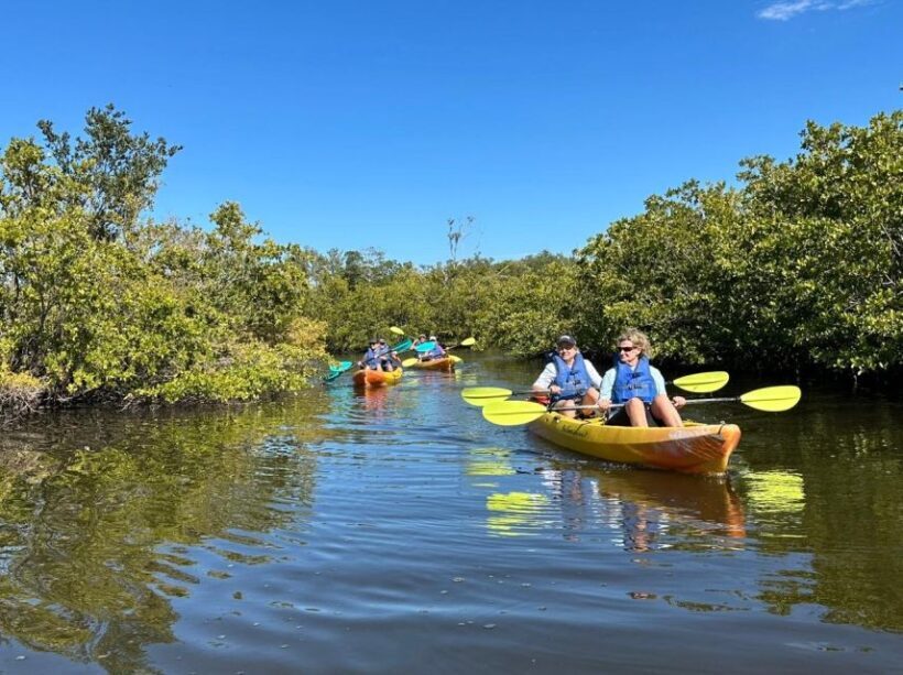 Robinson Preserve Mangrove Tour - Authentic Reviews: What Past Guests Say