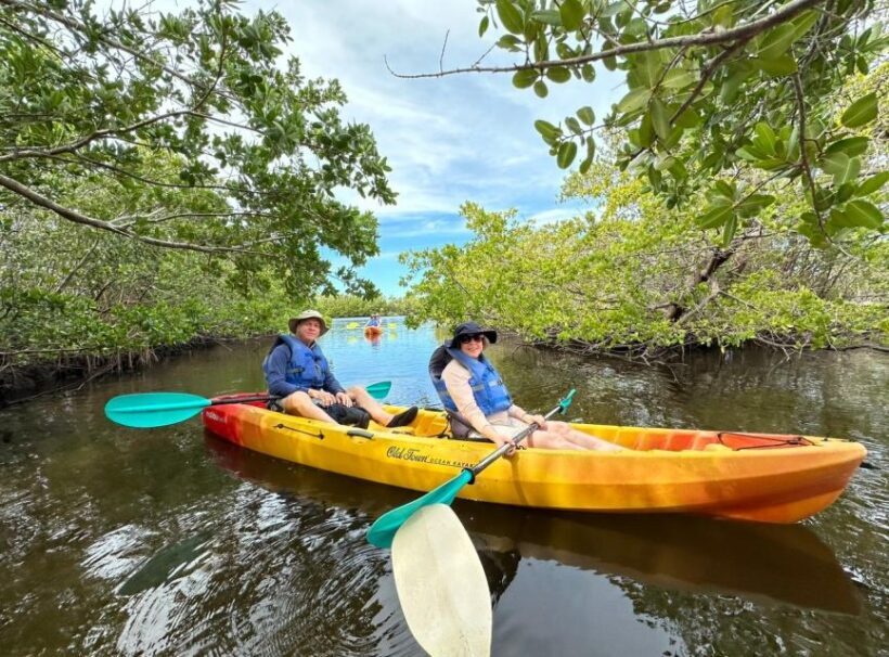 Robinson Preserve Mangrove Tour - The Sum Up: Who Should Consider This Tour?