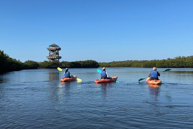 Robinson Preserve Mangrove Tour - An In-Depth Look at the Robinson Preserve Mangrove Tour
