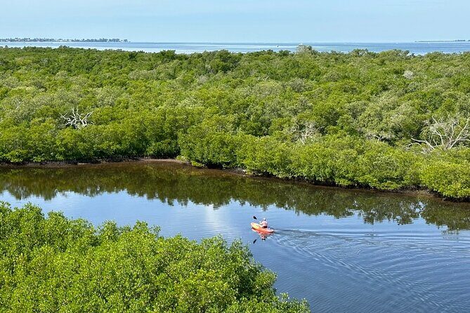 Robinson Preserve Mangrove Tour - The Sum Up