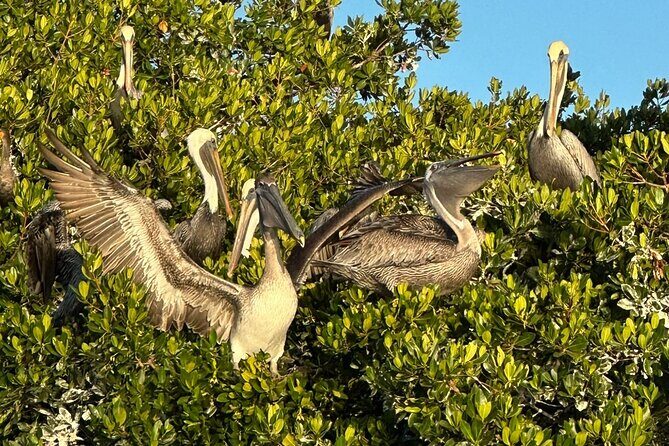 Robinson Preserve Nature Walk Eco Tour - Who Will Love This Tour?
