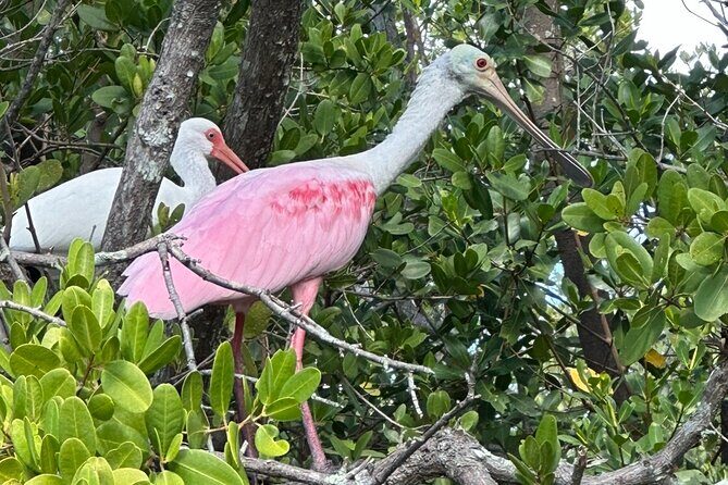 Robinson Preserve Nature Walk Eco Tour - FAQ