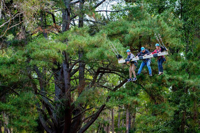 Rock Climb, Zipline and Mega Swing Experience - Exploring the Adventure: What’s on Offer?