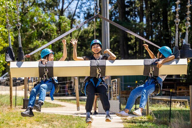 Rock Climb, Zipline and Mega Swing Experience - The Experience’s Drawbacks and Considerations