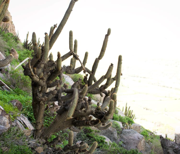 Rock Climbing in Arequipa, Perú - The Experience in Context