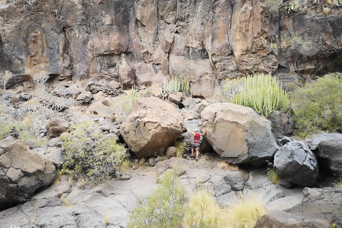 Rock Climbing in Natural Space. - Meeting Points and Pickup Details