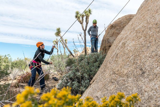 Rock Climbing Trips in Joshua Tree National Park (6 Hours) - Setting the Scene: What to Expect on Your Climb