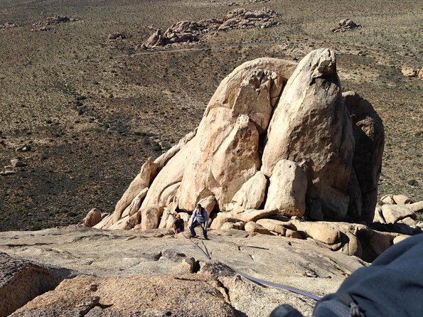 Rock Climbing Trips in Joshua Tree National Park (8 Hours) - A Closer Look at the Tour Experience