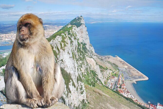 Rock Tour in Gibraltar by Bus with Tickets - The Sum Up: Who Will Love This Tour?