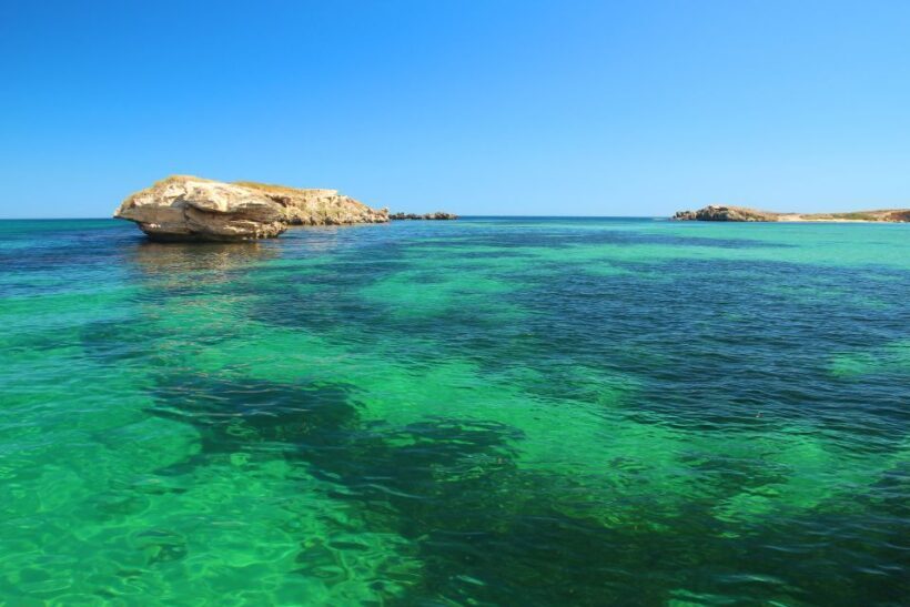Rockingham: 3 Island Wildlife Snorkeling Cruise with Lunch - An Honest Breakdown of the Experience