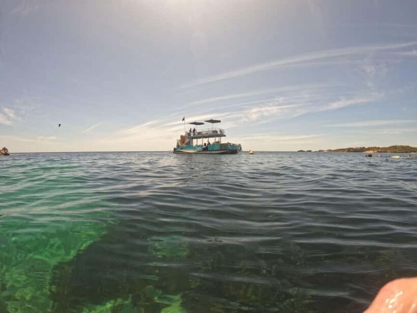 Rockingham: 3 Island Wildlife Snorkeling Cruise with Lunch - FAQ