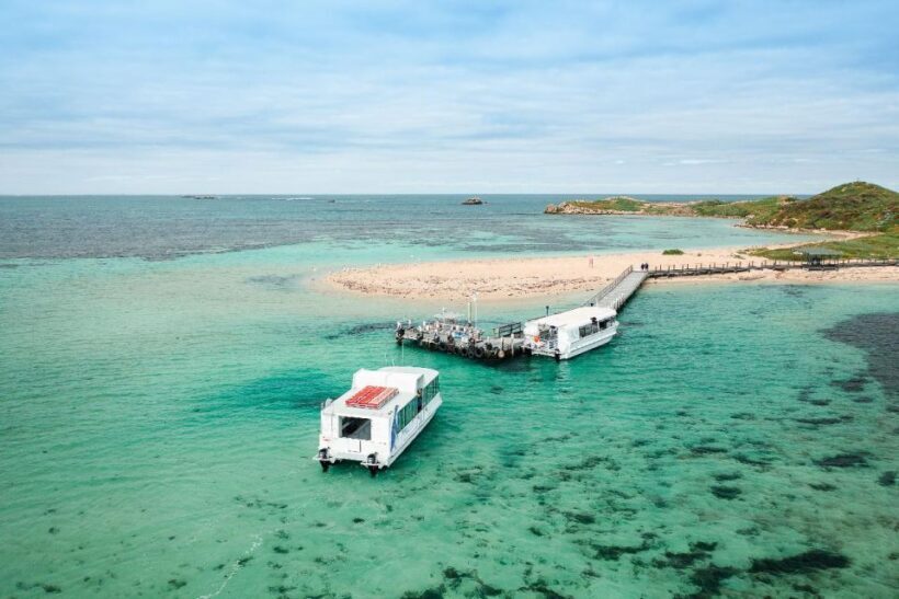 Rockingham: Shoalwater Islands Tour and Penguin Island - Frequently Asked Questions