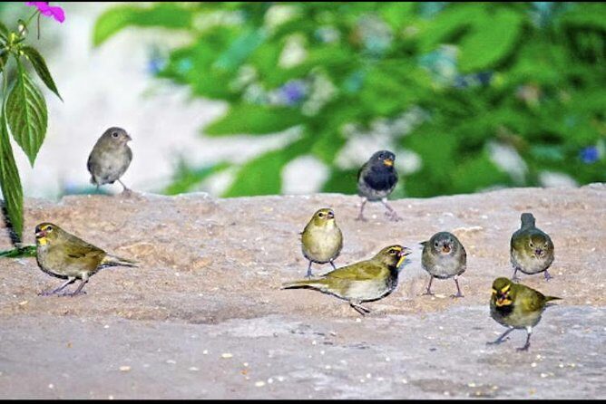 Rockland Bird Sanctuary and Hip-Strip Shopping - Analyzing the Value