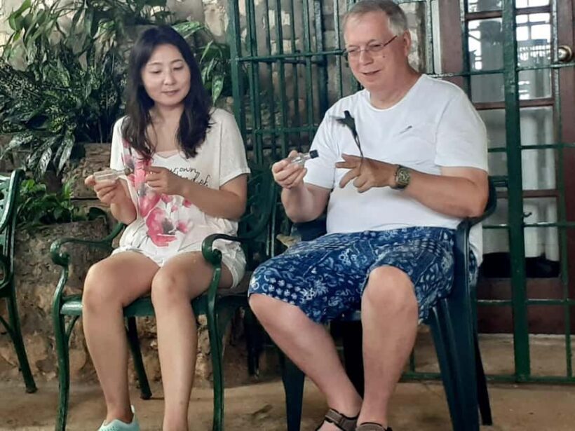 Rockland Bird Sanctuary and Shopping with Transportation - Key Points