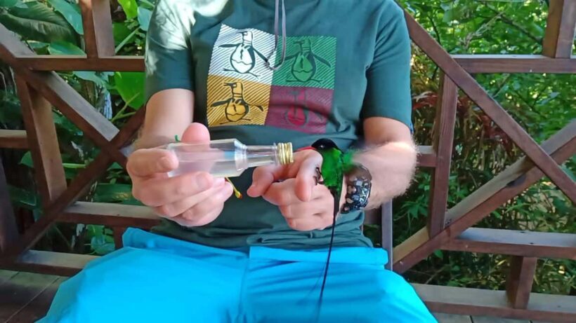 Rockland Bird Sanctuary and Shopping with Transportation - A Closer Look at the Rockland Bird Sanctuary Tour