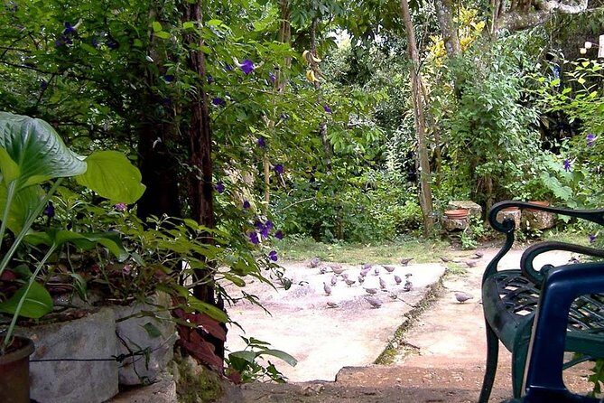 Rockland Bird Sanctuary Private Tour - The Sum Up