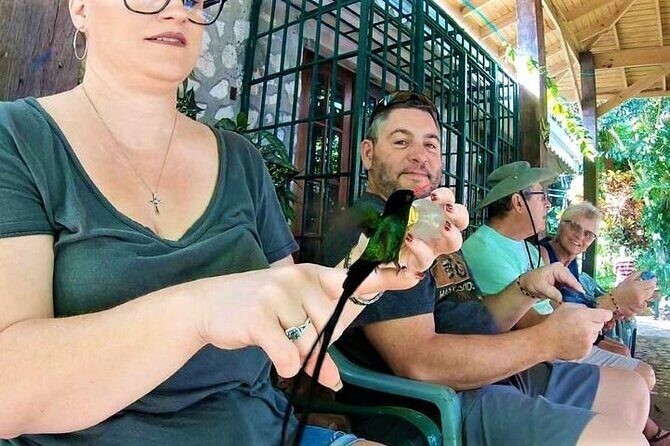 Rocklands Bird Sanctuary and Montego Bay Highlights Tour from Falmouth - Practical Tips for Travelers