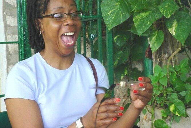 Rocklands Bird Sanctuary & City Highlights plus Shopping from Grand Palladium - The Journey Through Jamaica’s Wildlife and Cityscape