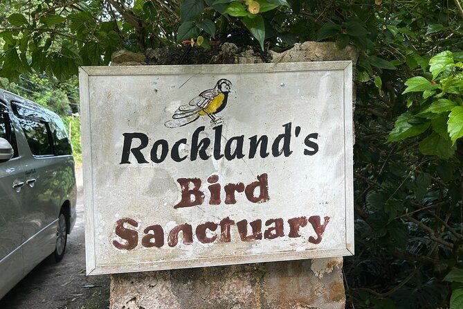 Rocklands Bird Sanctuary & St James Parish Church - Unpacking the Tour: An In-Depth Look