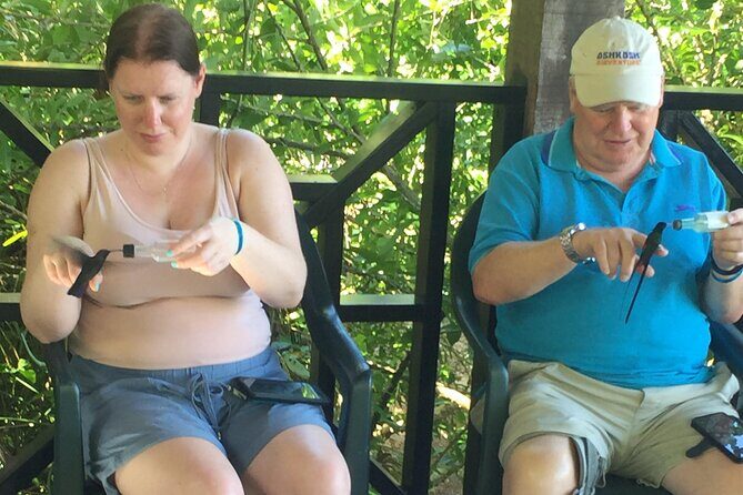 Rockland's Bird Sanctuary Tour from Montego Bay/ Falmouth - Key Points