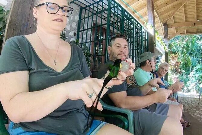 Rockland's Bird Sanctuary Tour from Montego Bay/ Falmouth - A Practical Guide to the Rockland Bird Sanctuary Tour