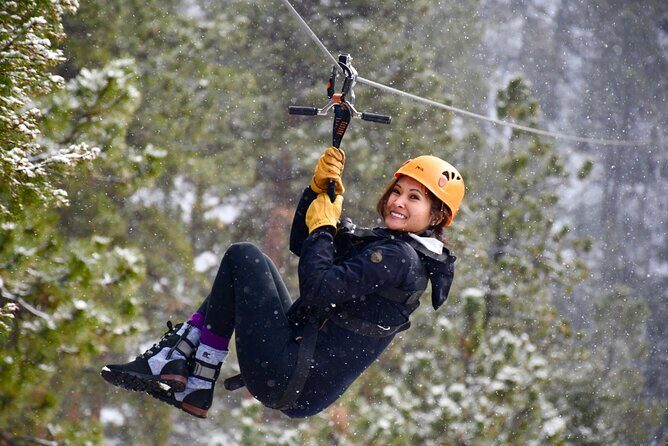 Rocky Mountain 4-Zipline Adventure on CO Longest and Fastest! - Authentic Reviews and Insights