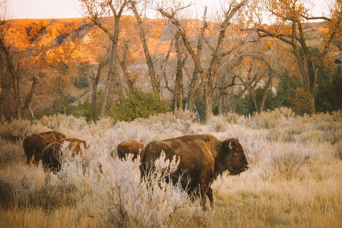 Rocky Mountain Escape - The Value for Money