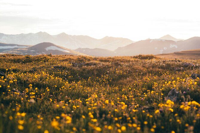 Rocky Mountain Full Day Private Tour & Hike from Denver / Boulder - Why Choose This Tour?