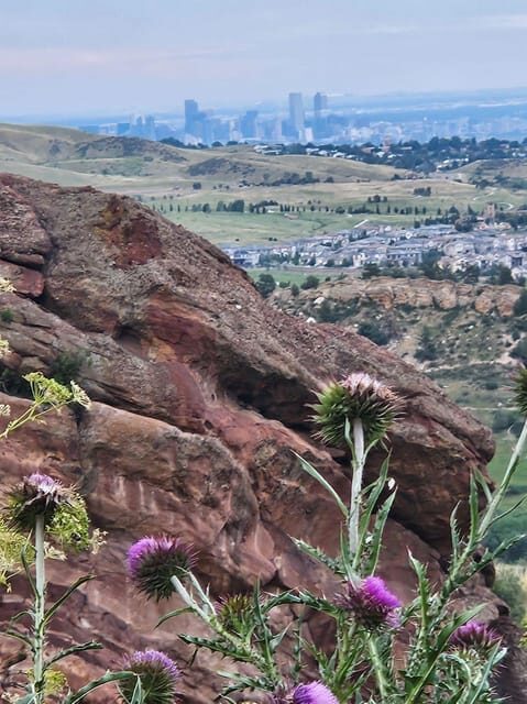 Rocky Mountain HIGH: Cannabis Mountain Tour - An In-Depth Look at the Rocky Mountain HIGH Cannabis Mountain Tour