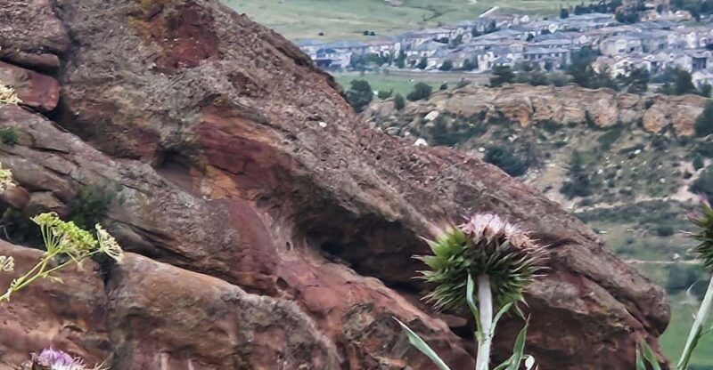 Rocky Mountain HIGH: Cannabis Mountain Tour - The Sum Up