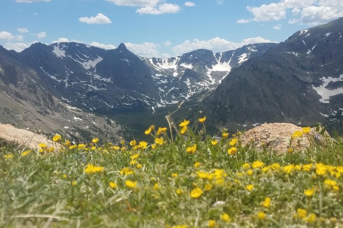 Rocky Mountain National Park in Summer Tour from Denver - Key Points