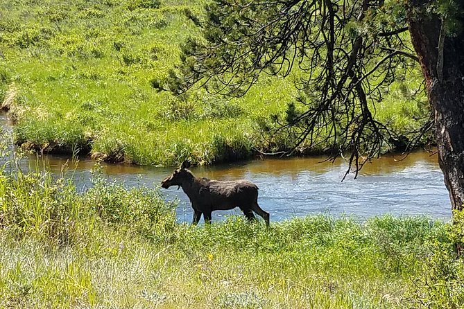 Rocky Mountain National Park in Summer Tour from Denver - Frequently Asked Questions