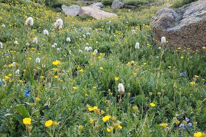 Rocky Mountain National Park in Summer Tour from Denver - Final Thoughts