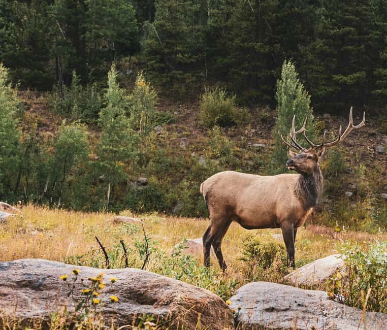 Rocky Mountain National Park: Private Hike to Emerald Lake - Final Thoughts