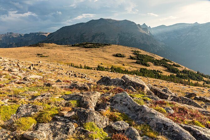 Rocky Mountain National Park Self-Guided Audio Tour - The User Experience & Common Challenges