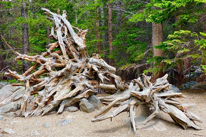 Rocky Mountain National Park Tour From Denver - Additional Information