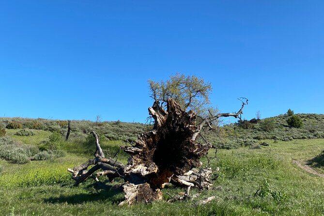 Rocky Peak Electric Mountain Biking Tour (Beginner) - Who Should Consider This Tour?
