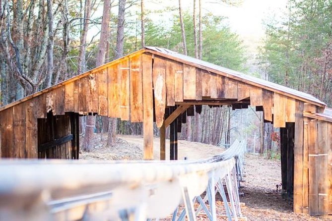 Rocky Top Mountain Coaster Admission Ticket in Pigeon Forge - What Travelers Say