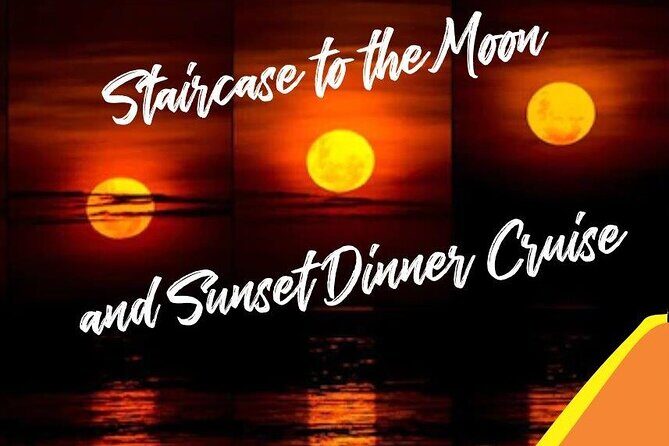 Roebuck Bay Sunset & Snubfin Dolphin Cruise - Who Will Love This Tour?