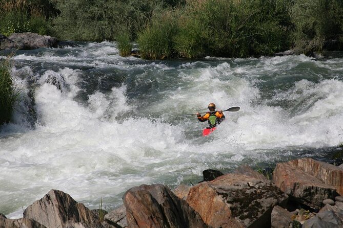 Rogue River Family Float & Discovery Park-Rafting and Kayaking - Key Points
