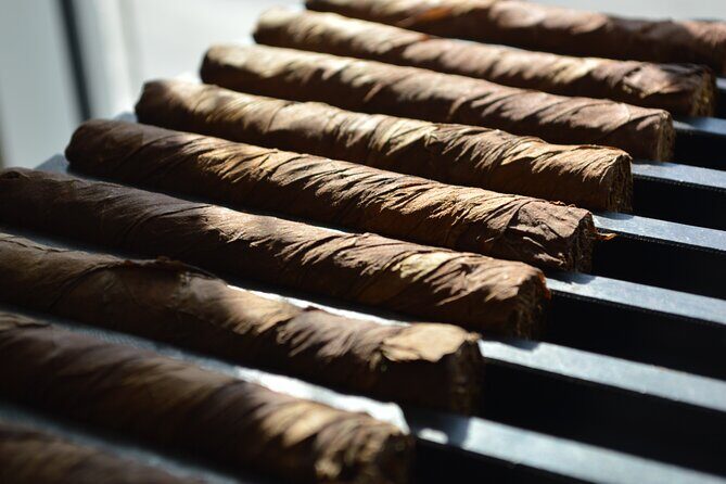 Roll your Own Cigar in Puerto Plata - How the Experience Ties into Your Trip