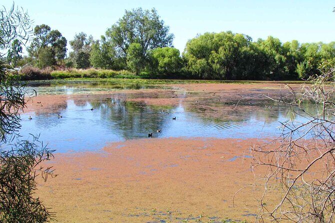 Roma: 1-Hour Guided Nature Trail Walk - Who Should Consider This Tour?