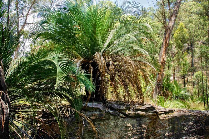 Roma: Lost World Carnarvons (Wallaroo) Day Tour - FAQs