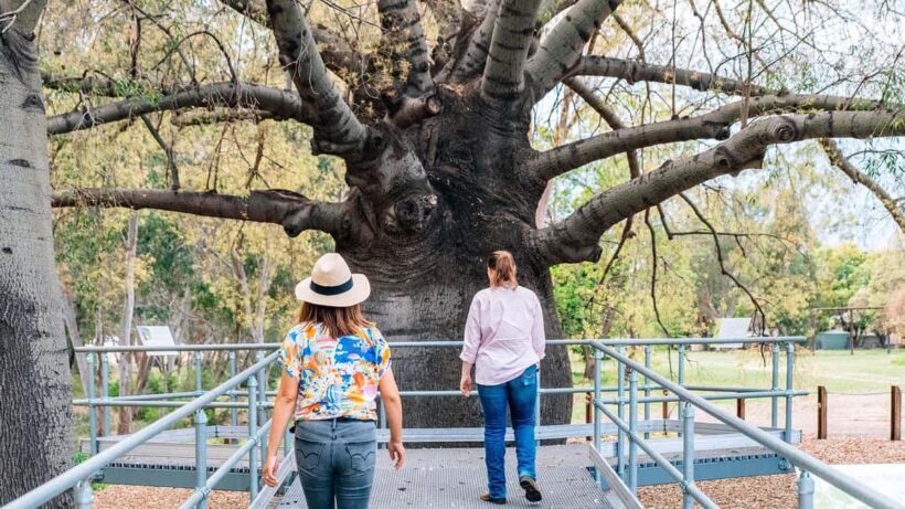 Roma: Roma Revelation Half Day Tour - A Genuine Look at Roma’s Outback Charm