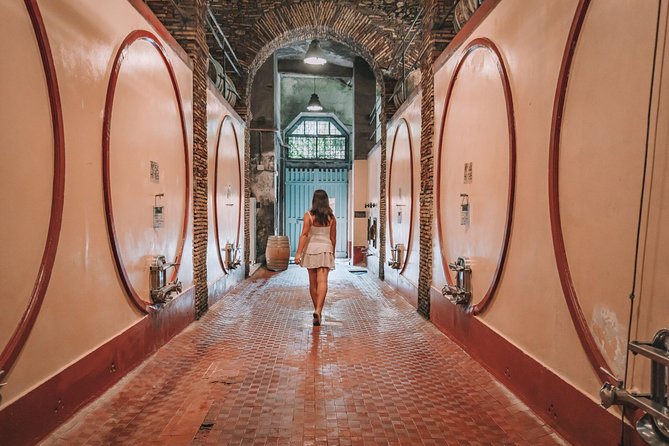 Roman countryside Food & Wine Tasting in a medieval winery - What to Expect During the Tour