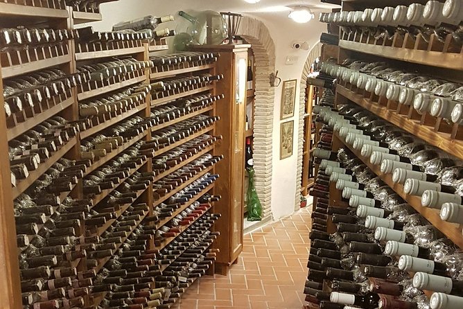 Roman Countryside: Wine and Food Tasting, Semi-Private Day Tour - Visiting the Vineyards