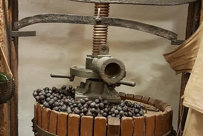 Roman Countryside: Wine and Food Tasting, Semi-Private Day Tour - Dining on Local Specialties