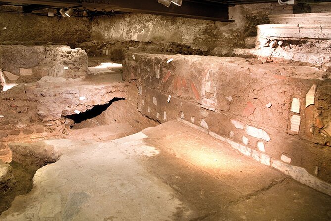 Roman Domus of Palazzo Valentini Ticket - Accessibility and Participation