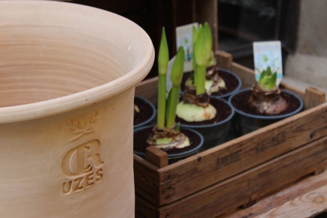 Roman Sites and Historical Places Day Trip From Avignon - Exploring Nîmes